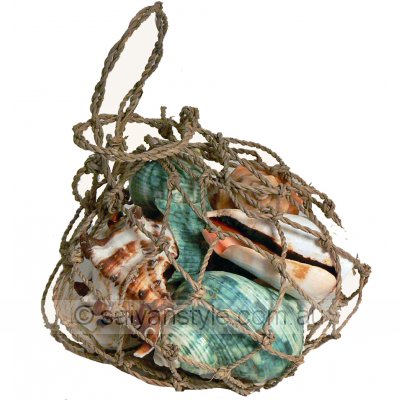 Bag of 10 Assorted Sea Shells 1 - Saiyan Style